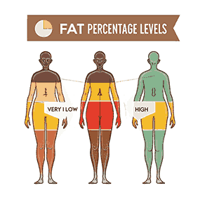 Body Fat Percentage Calculator