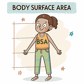 Body Surface Area Calculator